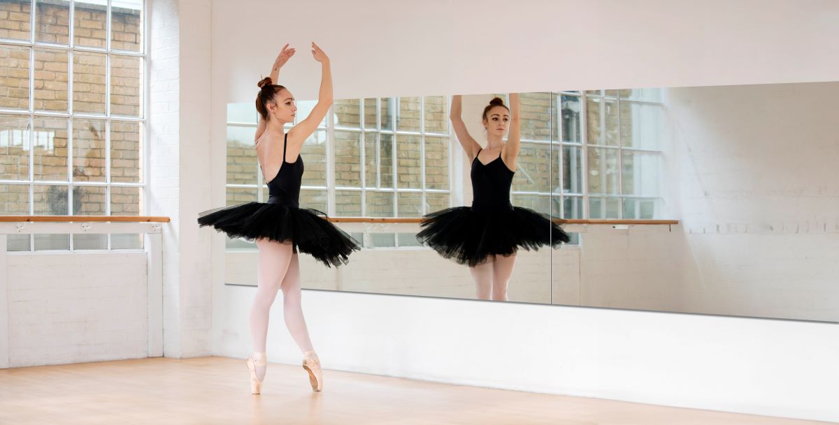 40" x 79" Glassless Dance and Gym Wall Mounted Studio Mirror - 10 Mirr ...